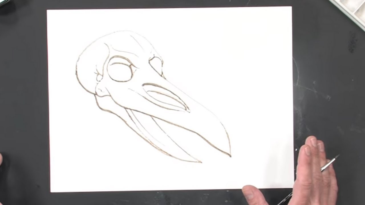 Liquid Pencil - Line work - YouTube