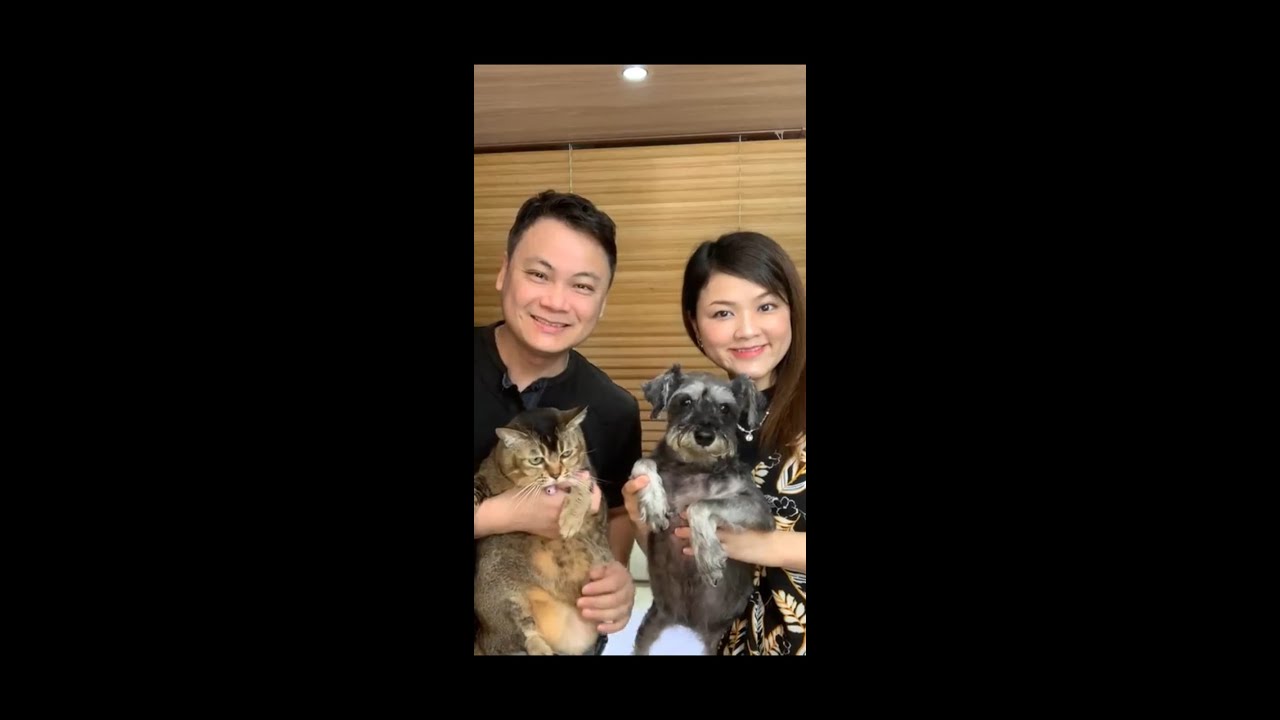 17 March 2024 Facebook Live@Meowism Accessories - YouTube