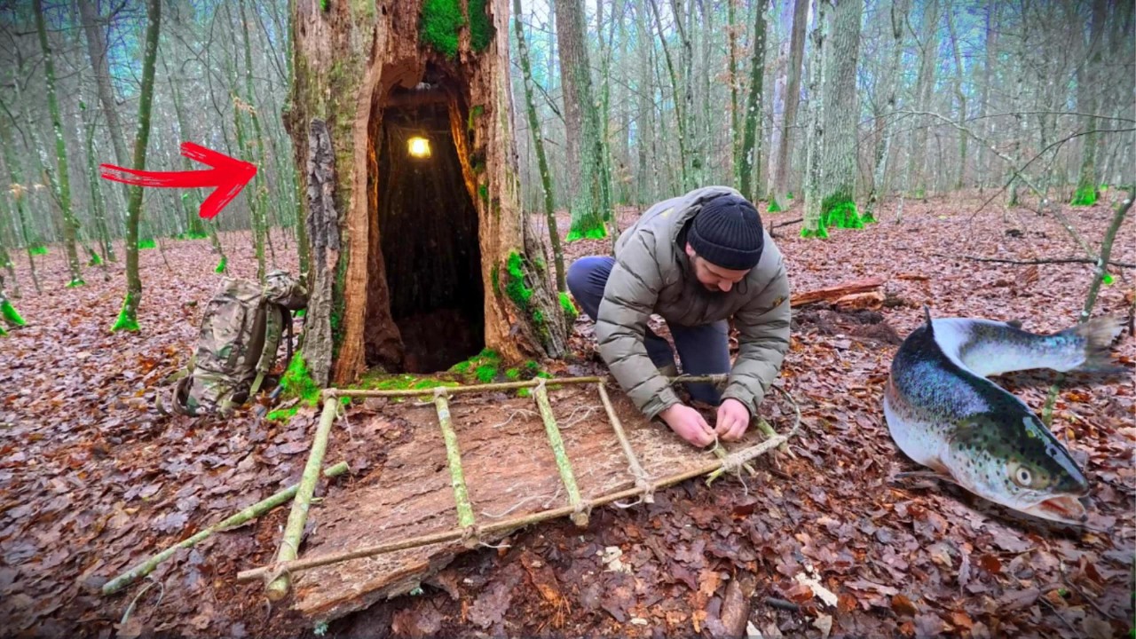 Build a safe shelter inside a large tree - Catch & Cook - YouTube