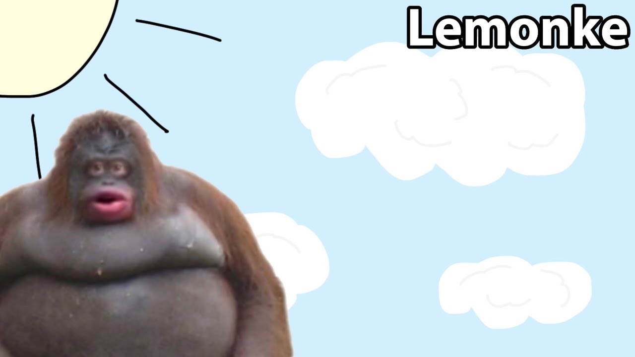 Monke Meadows - Lemonke - YouTube