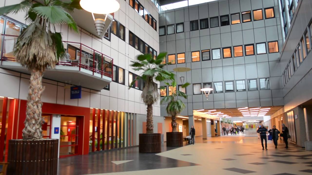 Study MSc Biomedical Engineering at the University of Groningen - YouTube