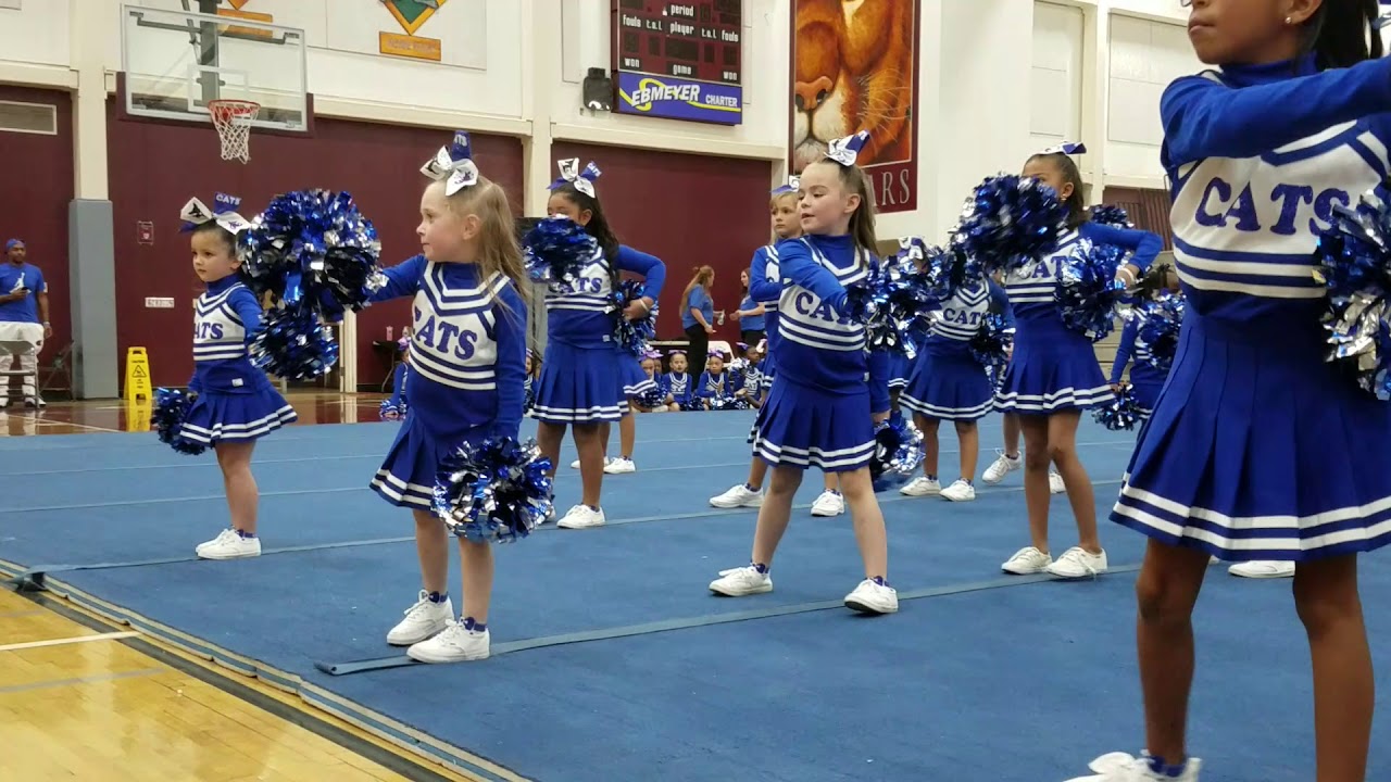 Cheer Cats Showcase 2018 - YouTube