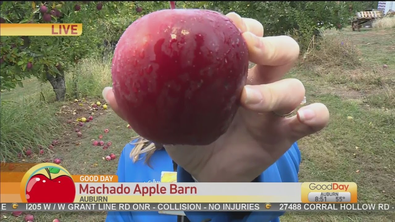 Machado Apple Barn - YouTube