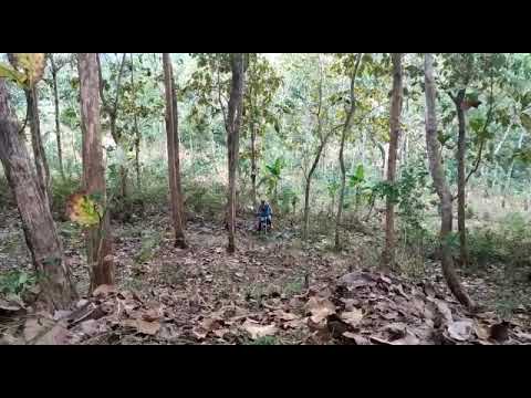Tanjakan sumber ece