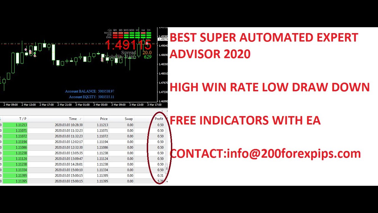 SUPER EXPERT-ADVISOR AUTOMATED FOREX TRADING 2020 Review 20 - YouTube
