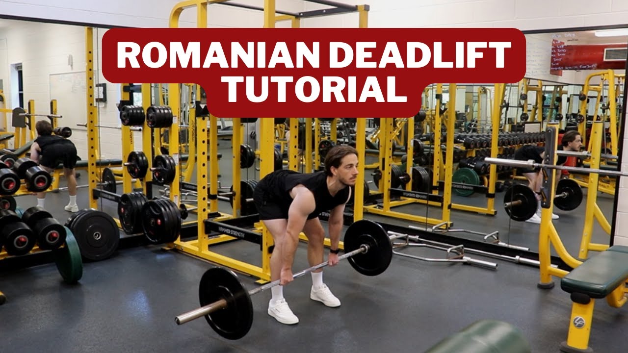 Romanian Deadlift (RDL) Tutorial - MRF - YouTube