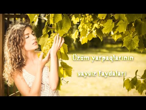 Üzüm yarpaqlarının saysız faydaları