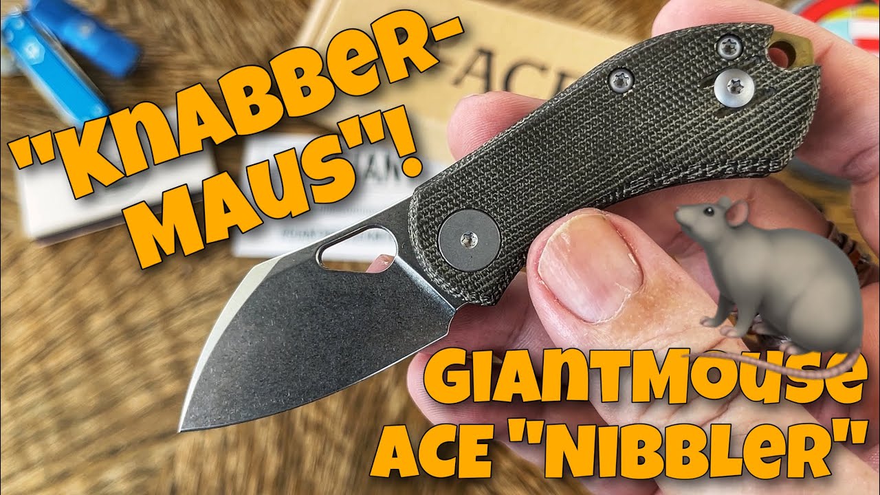 🚨 Die kleine, große Knabbermaus — GiantMouse ACE „Nibbler“ 🚨 - YouTube