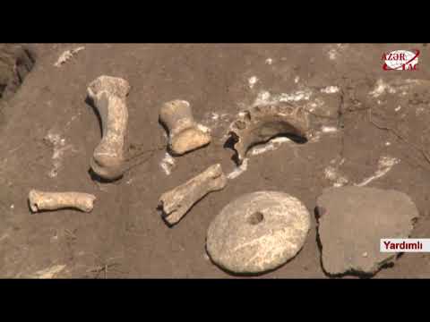 Yardımlıda Kür Araz mədəniyyətinə aid 5000 illik kurqanlar aşkarlanıb
