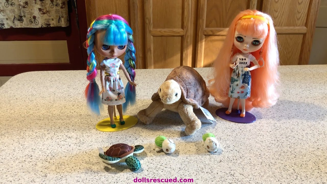 National Turtle Day Blythe Collab with @starchandstitches7903 - YouTube