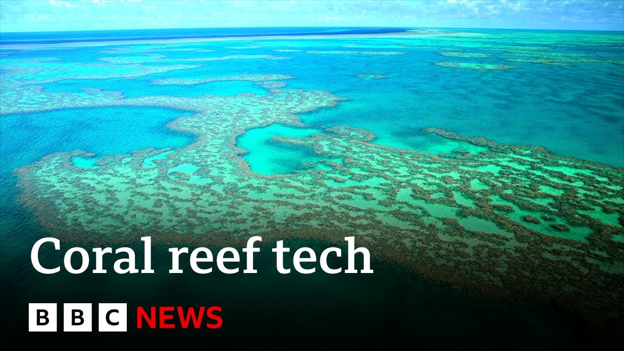 Great Barrier Reef Queensland Whitsundays, Great Barrier Reef,