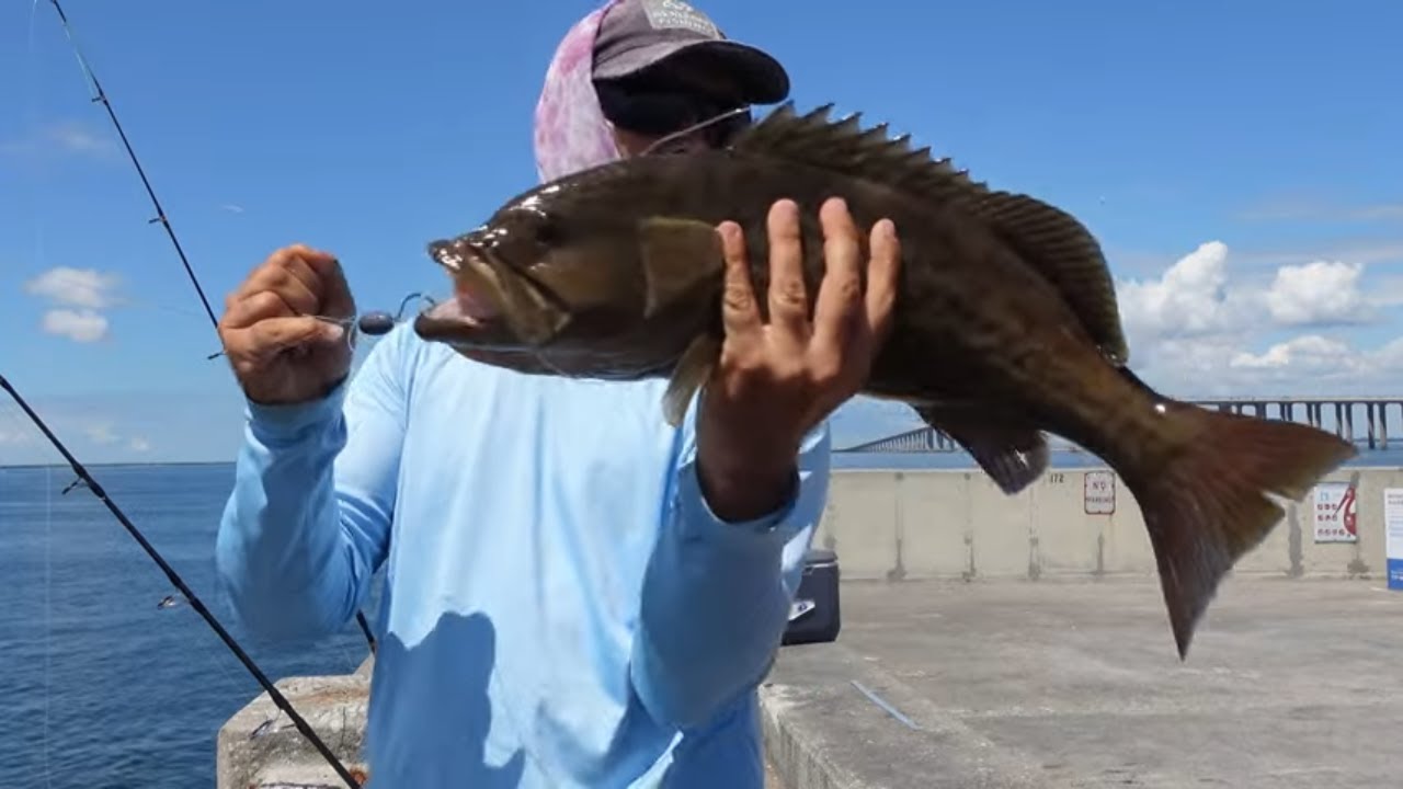 Big Bait For Big Fish🔥🔥(Skyway Fishing Pier) - YouTube