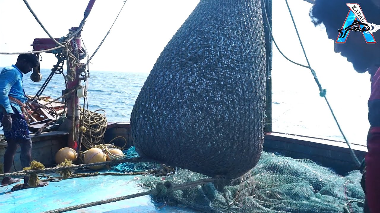 The Most Modern Fishing Boat You've Ever Seen Catches Hundreds Of ...