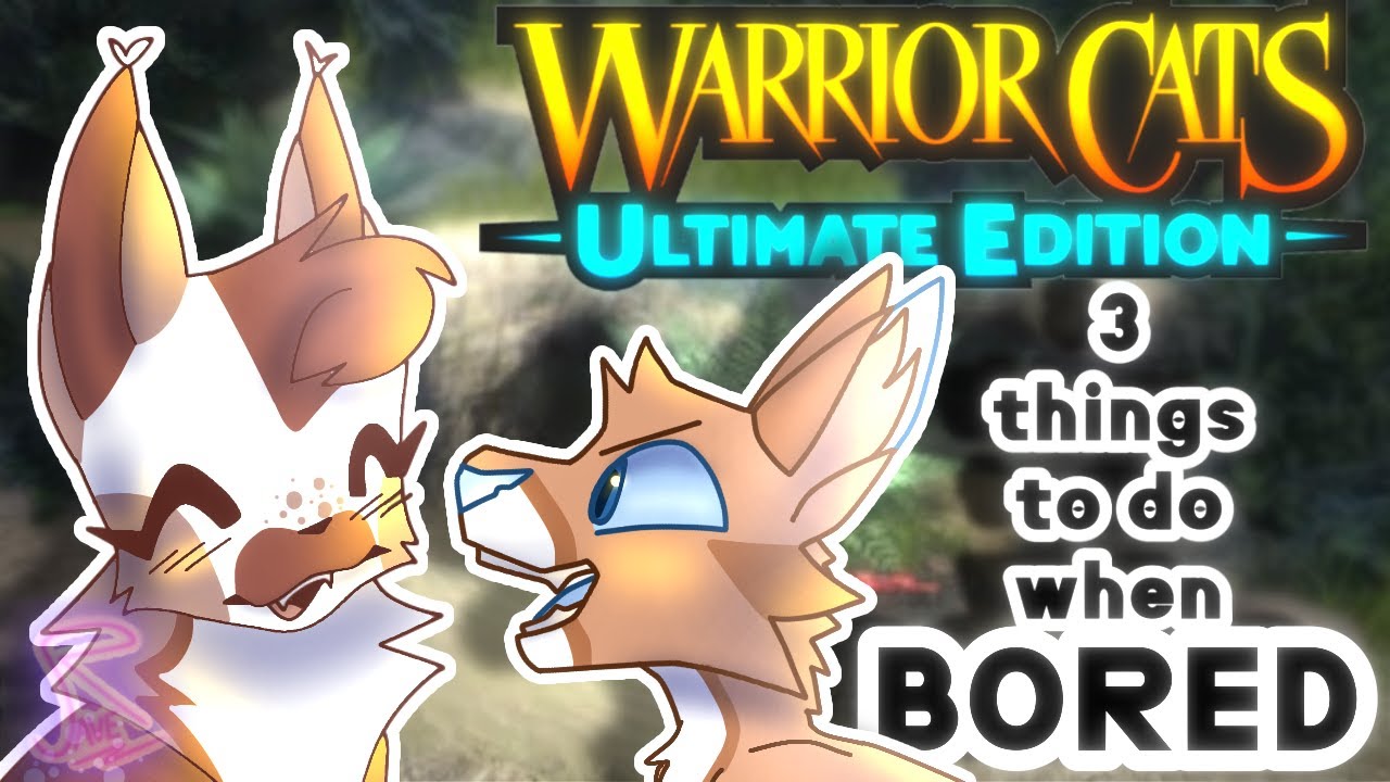 || 3 THINGS TO DO WHEN BORED! In wcue || #wcue - YouTube