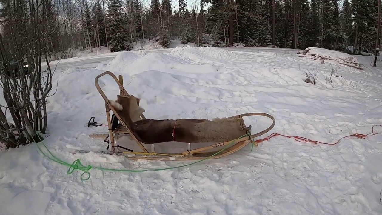 Basic instructions on how to drive the sled - YouTube