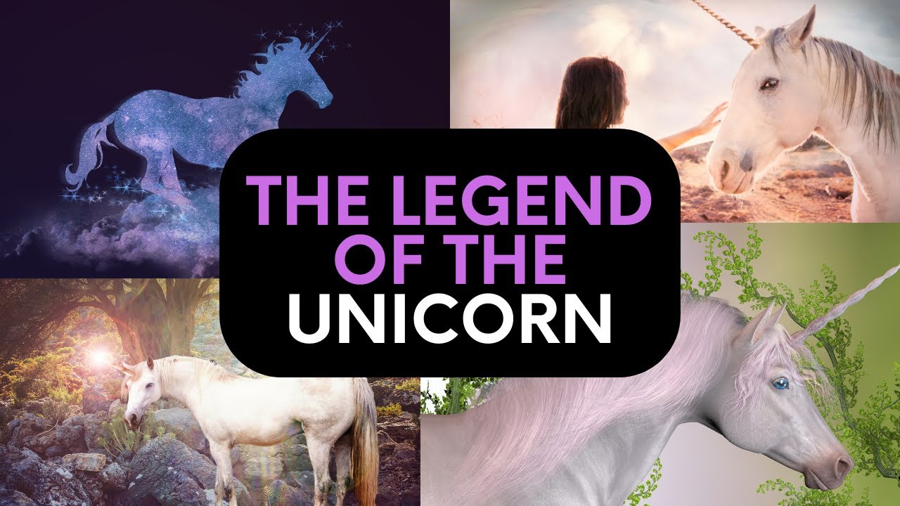 Quick History of the Unicorn Legend | Myth, Magic, & Mysticism ...