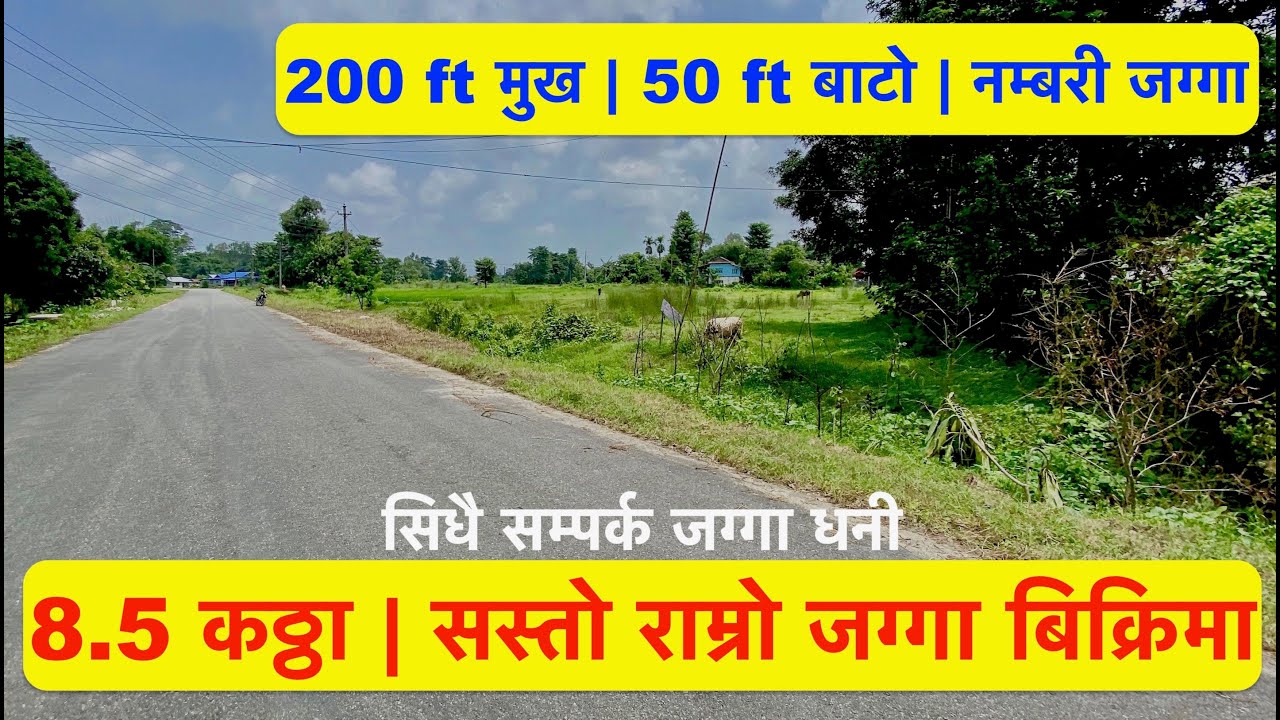 8 5 Katha | Sasto nambari Jagga | land for sale | 50 ft Road ...
