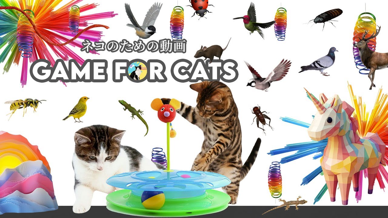 CAT GAME | Best Videos For Cat To Watch Ultimate Cat TV | Entertainment ...
