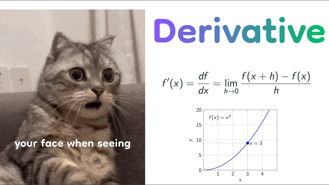 It Looks Dumb… But This Is What DERIVATIVE Is REALLY About - Calculus ...