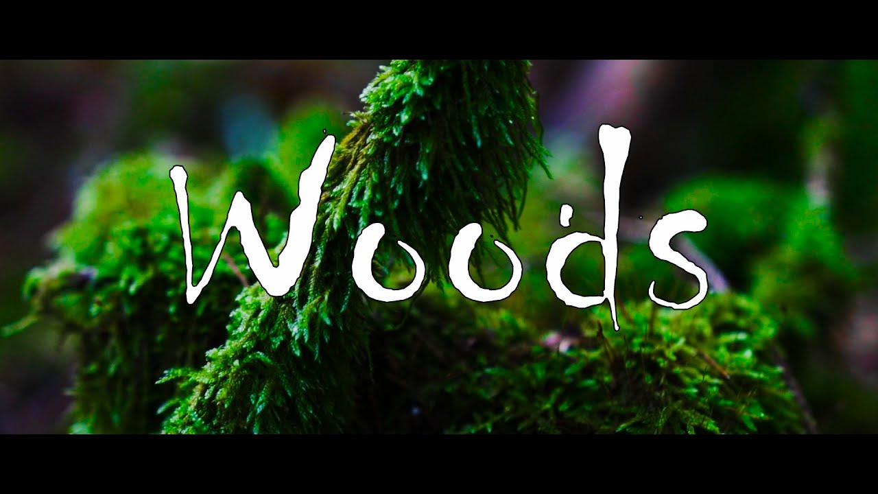 Woods | Cinematic movie | Nature videos | Videography | - YouTube