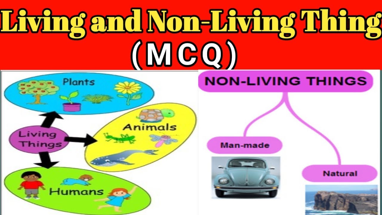 Living and Non-Living Thing | MCQ | Plants | Animals | Humans | Man ...