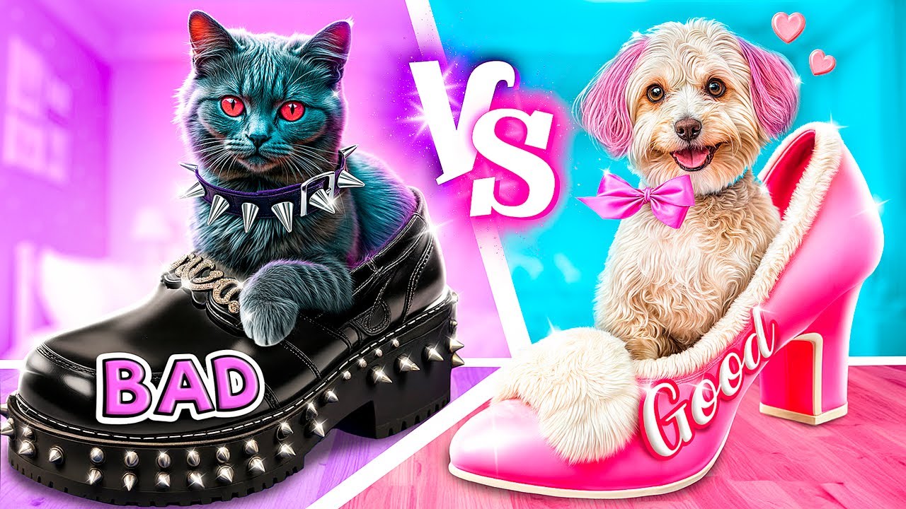 Good Dog vs Bad Cat! How to Make Pet Houses! - YouTube