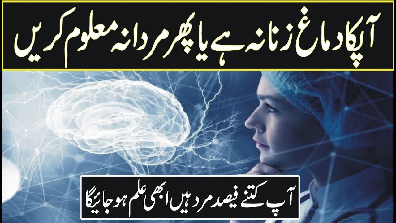 Interesting Facts Of Human Brain In Urdu Hindi urdu Documentary YouTube interesting-facts-of-human-brain-in-urdu-hindi-urdu-documentary-youtube