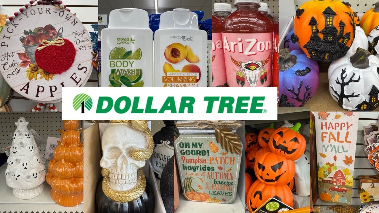 Dollar Tree * Things to Buy at Dollar Tree in August * Best Dollar Tree ...