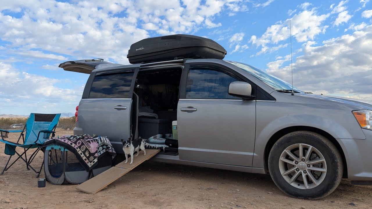 Van Life Dog Essentials: Must-Have Gear & Tips for Traveling or Camping ...