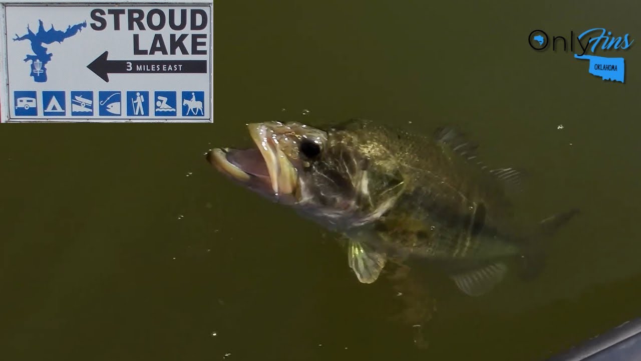 This Might Be My Favorite Lake! | Stroud Lake Oklahoma - YouTube