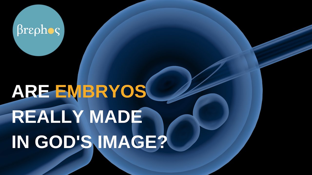 Are Embryos Really Made in the Image of God? Calum MacKellar - YouTube