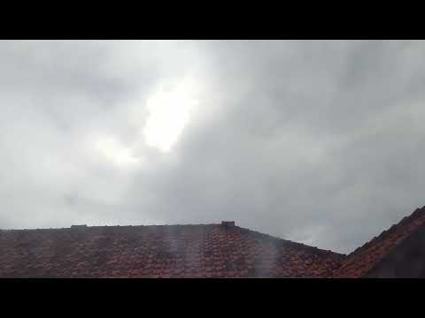 Rara viral di tiktok