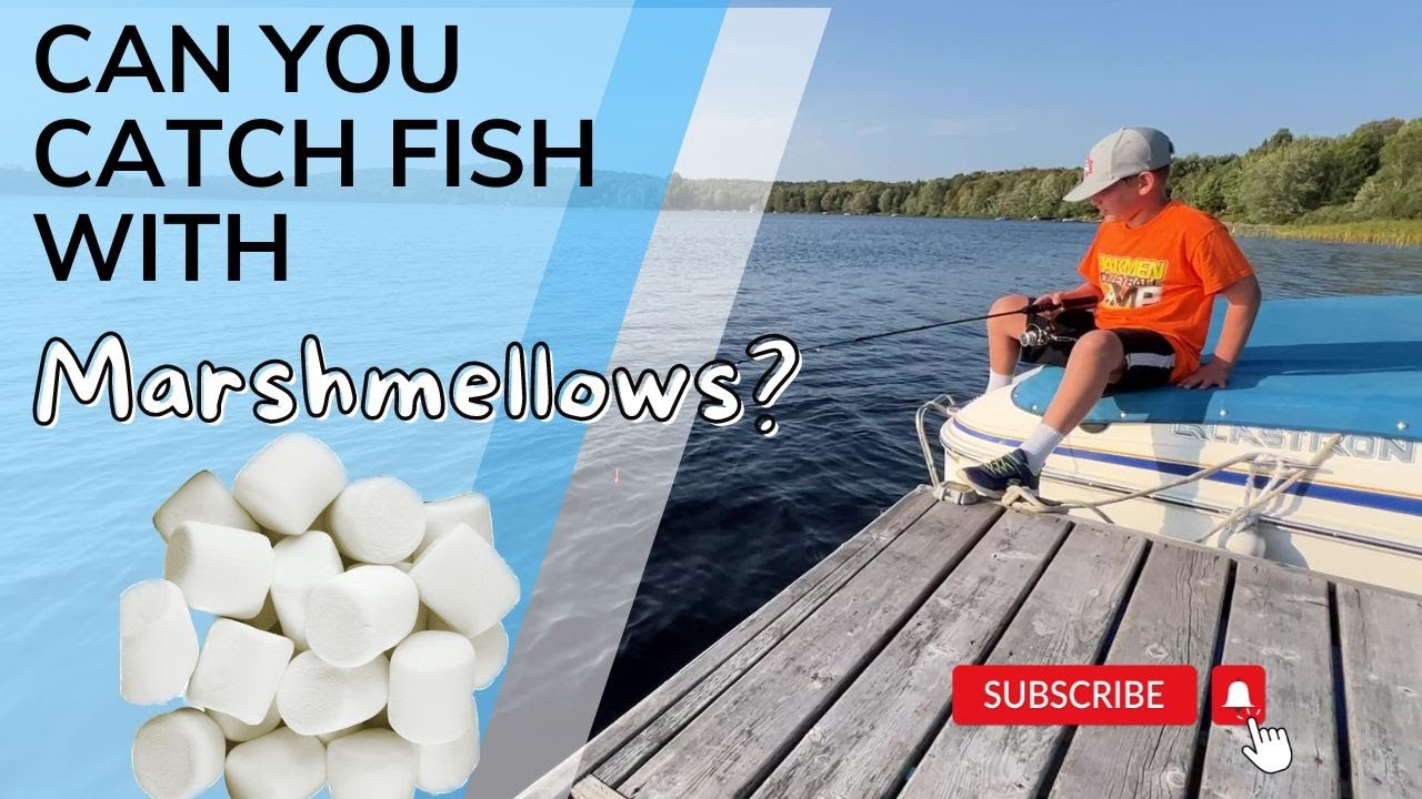 Fishing Fun: Marshmallows as Bait? Watch to see the results - YouTube