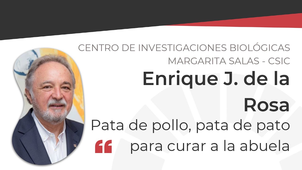 Pata de pollo, pata de pato para curar a la abuela, con Enrique J. de ...