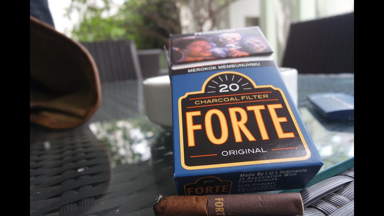 [REVIEW] Forte - Mighty Tiny - YouTube