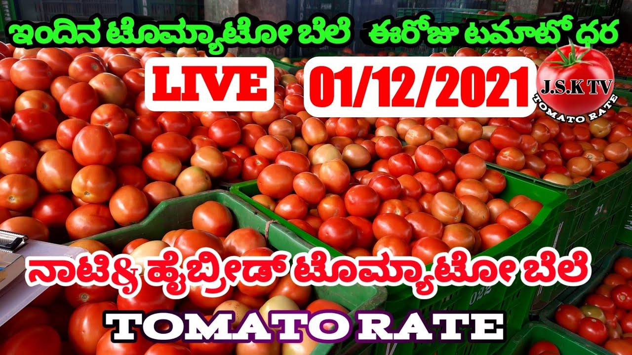 Tomato Price Today | jsk_tv_tomato_rate | live_auction_tomato_price ...