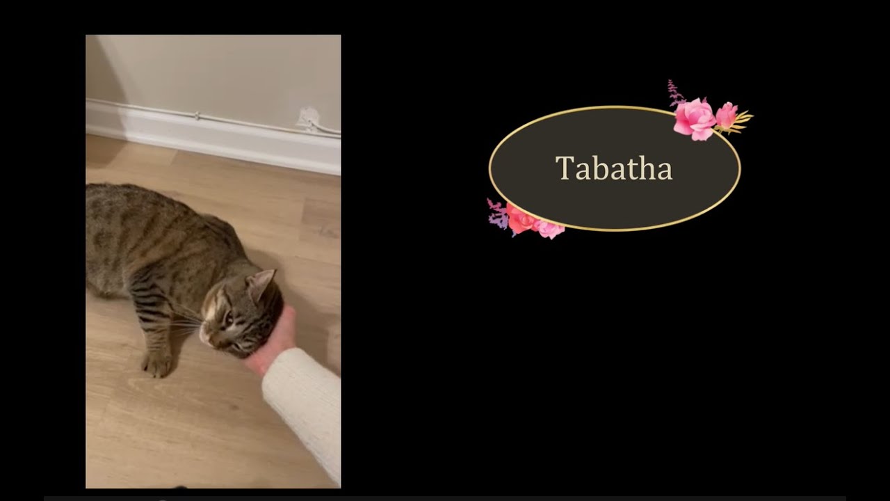 Tabatha - YouTube