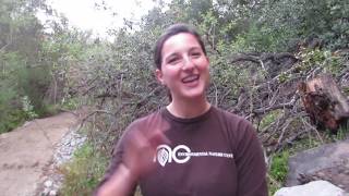 Chaparral Plant Adaptations