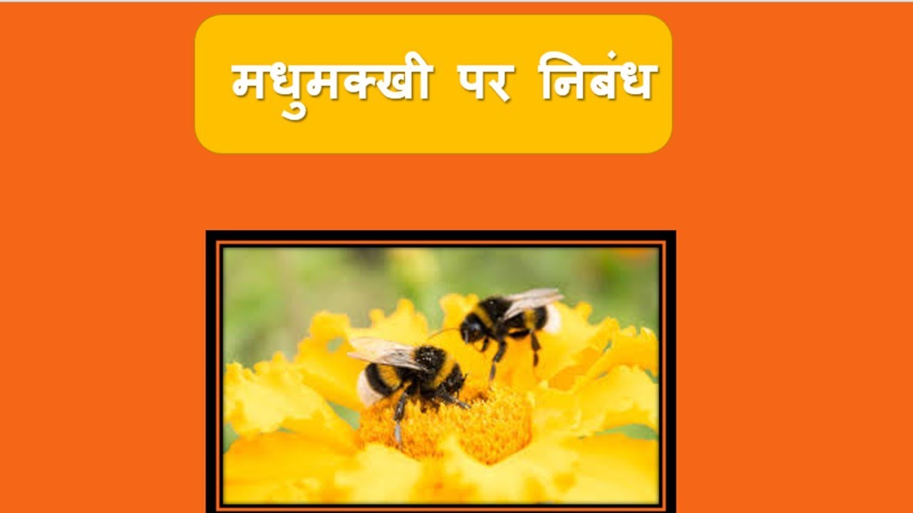 मधुमक्खी पर निबंध. Short essay on Bee for kids. - YouTube