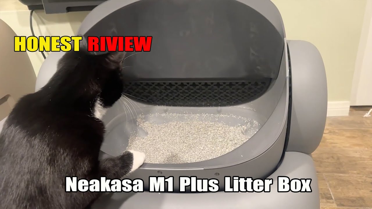 Neakasa M1 Plus Litter Box Review | Best Open-Top Self-Cleaning Cat ...