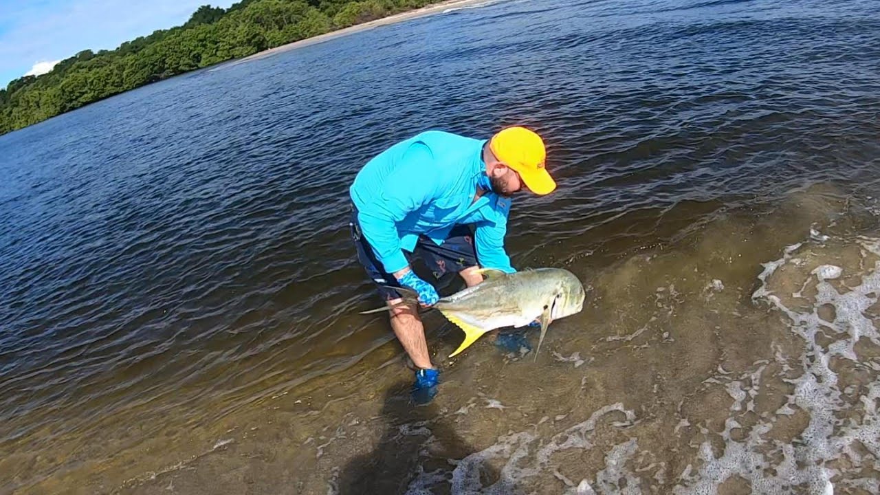 Jurel Toro de 20+ lb (Jack Crevalle) en Miami, Tela video completo # ...