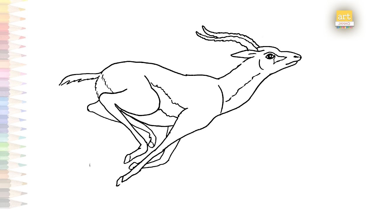 Oryx running drawing video | Antelope easy drawings | How to draw Oryx ...