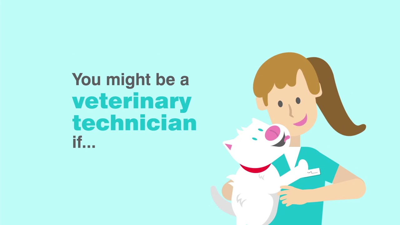 What is the IDEXX SNAP Pro® Analyzer? | IDEXX Laboratories - YouTube