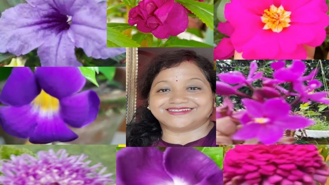 15 BLOCK BUSTERS fllower that bloom in summer || Purple flowers - YouTube