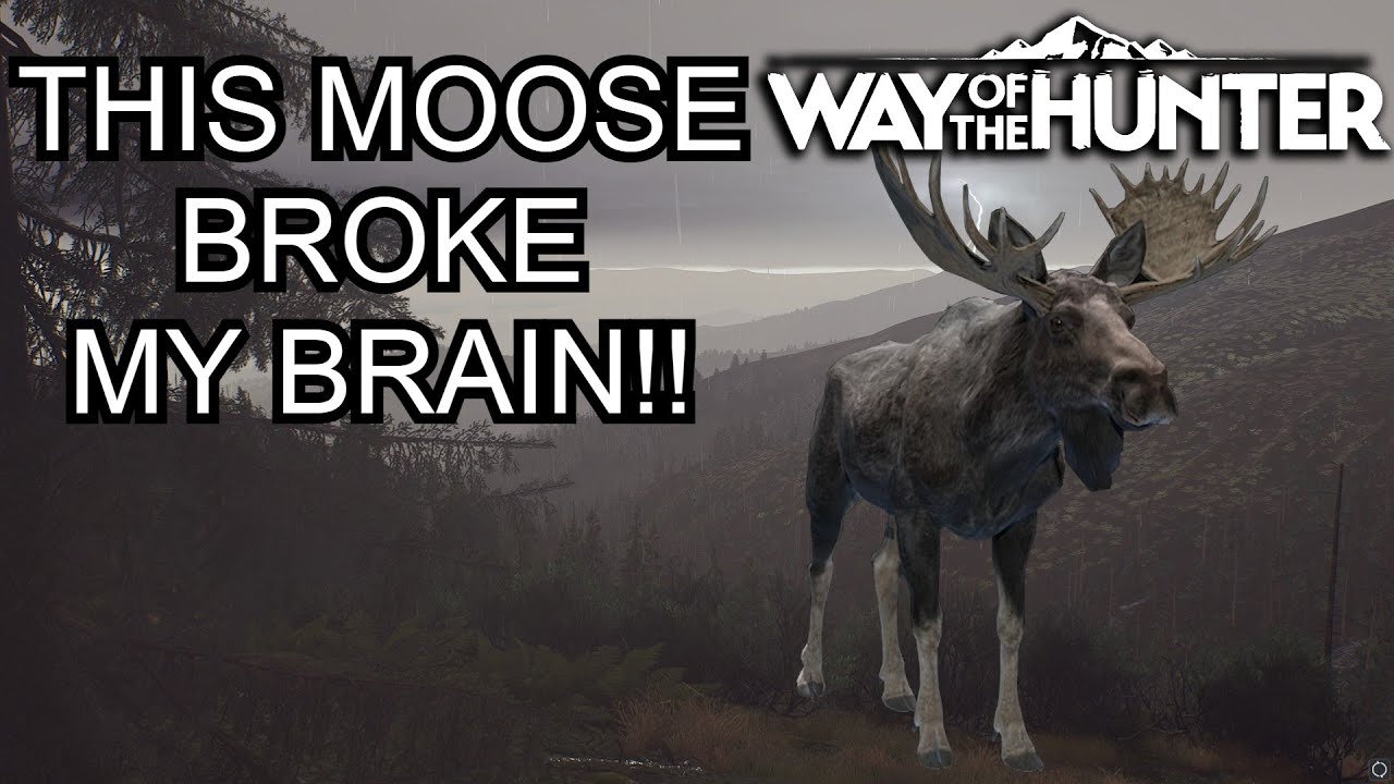 This moose broke my BRAIN! | Way of the hunter - YouTube