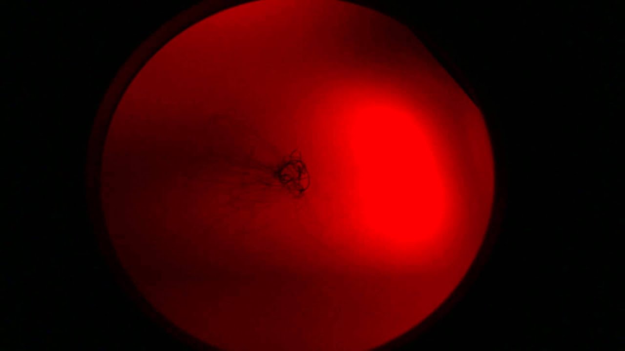 Darrin Verhagen & Stuart McFarlane - A series of small wire objects ...