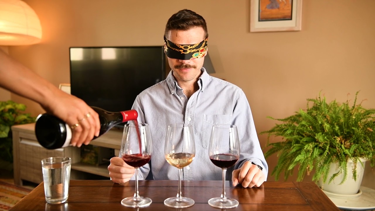 Blind Wine Tasting - Putting My Senses To The Test - YouTube