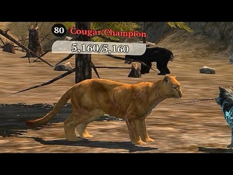 The Wolf - Cougar Champion 🏆 - YouTube