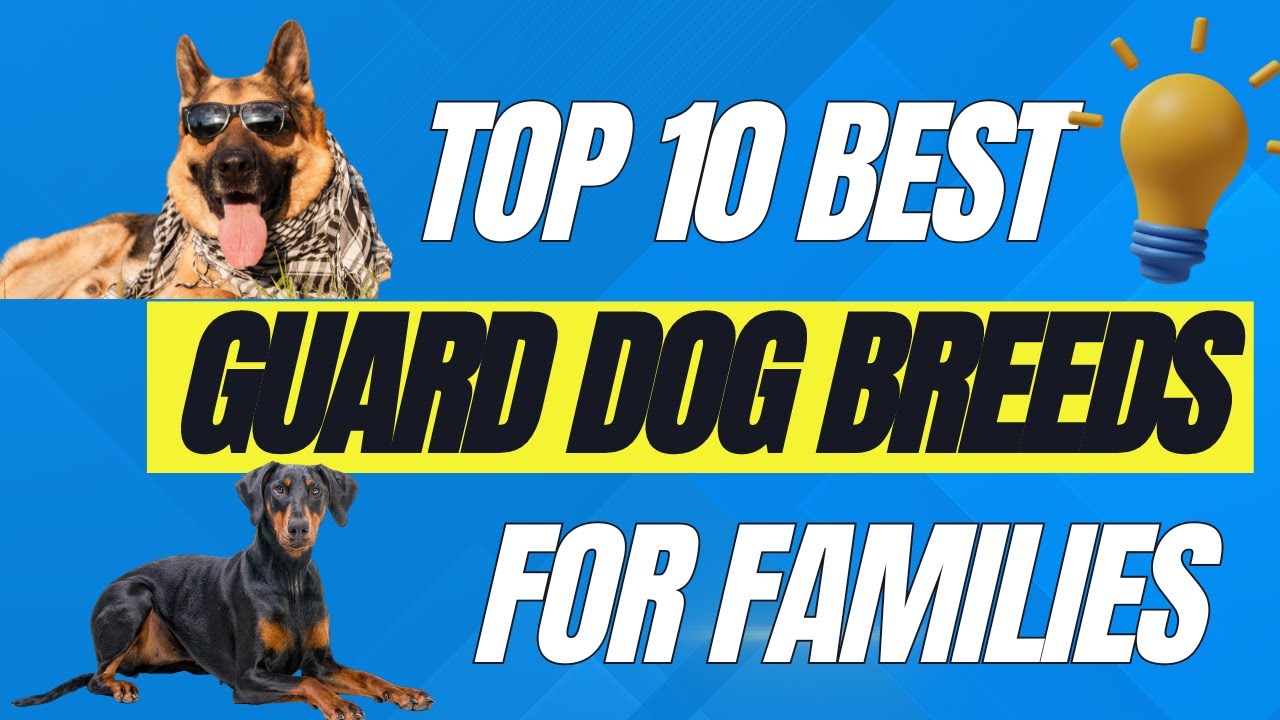 Top 10 Best Guard Dog Breeds for Families - YouTube