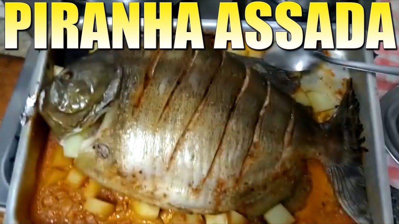 RECEITA PIRANHA ASSADA NO FORNO ! PEIXE ASSADO NO FORNO ! A MELHOR DE ...